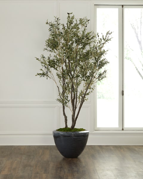 John-Richard Collection Tarro Fig Tree | Neiman Marcus