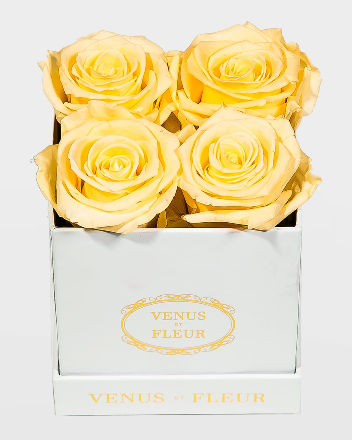 Venus ET Fleur Classic Petite Square Rose Box | Neiman Marcus