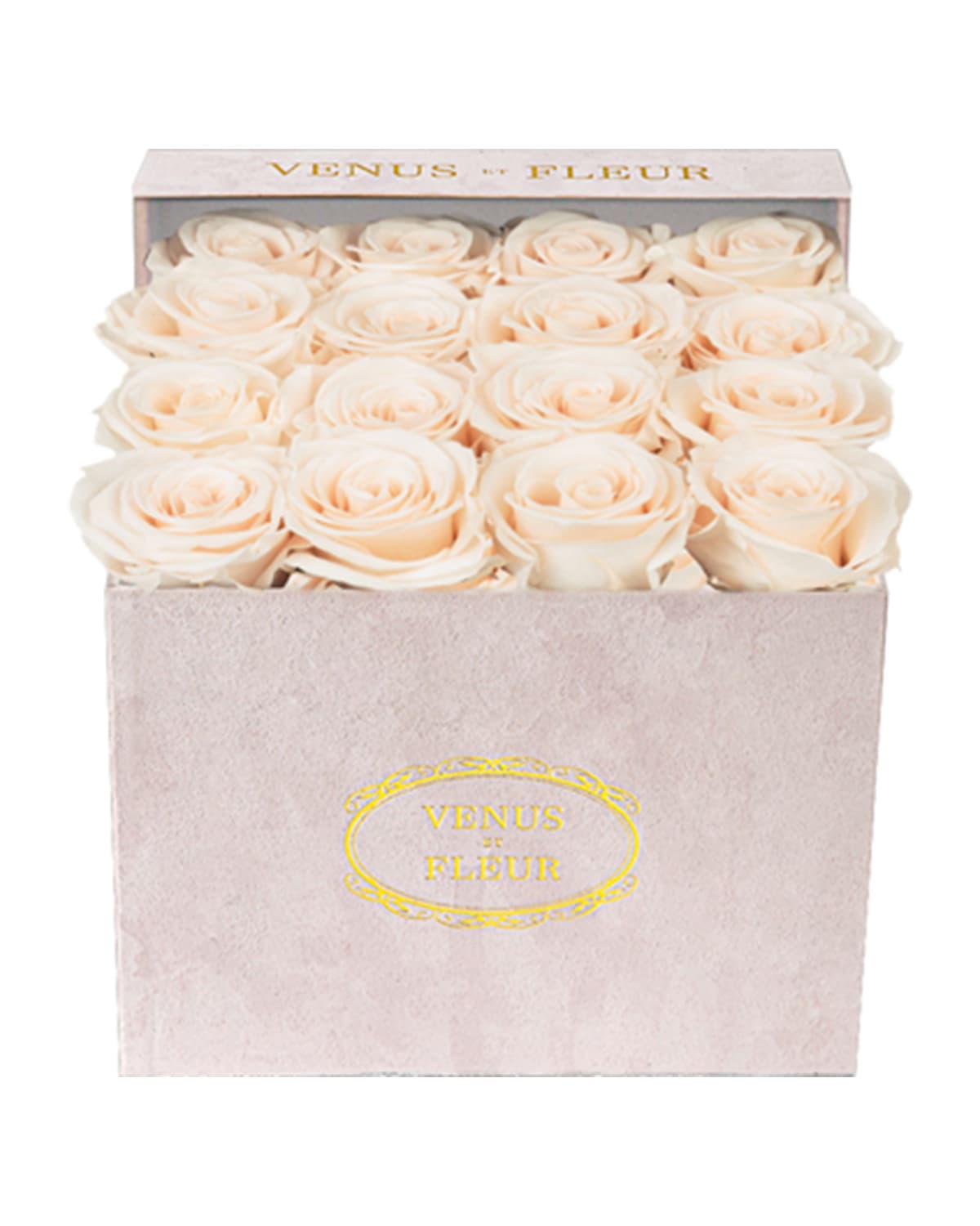 Venus ET Fleur Suede Small Square Rose Box | Neiman Marcus