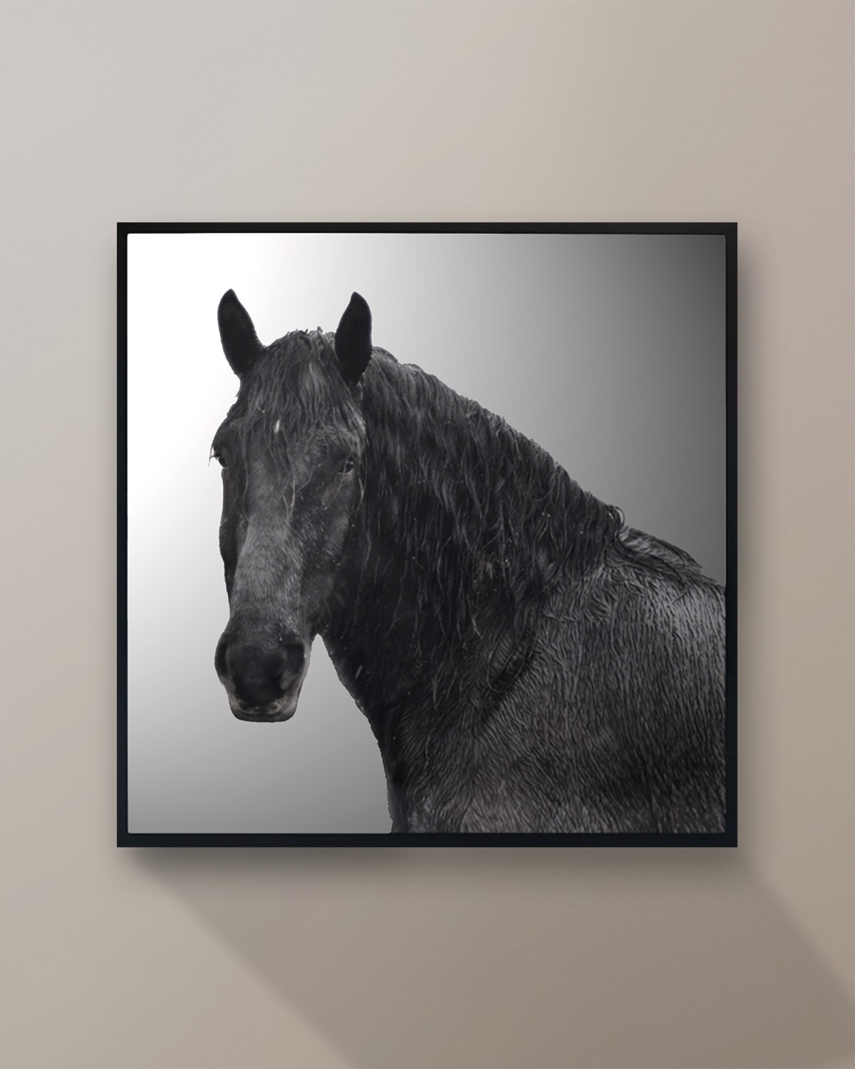 Grand Image Home "Horses in Europe" Archival Digital Print by Chris ...