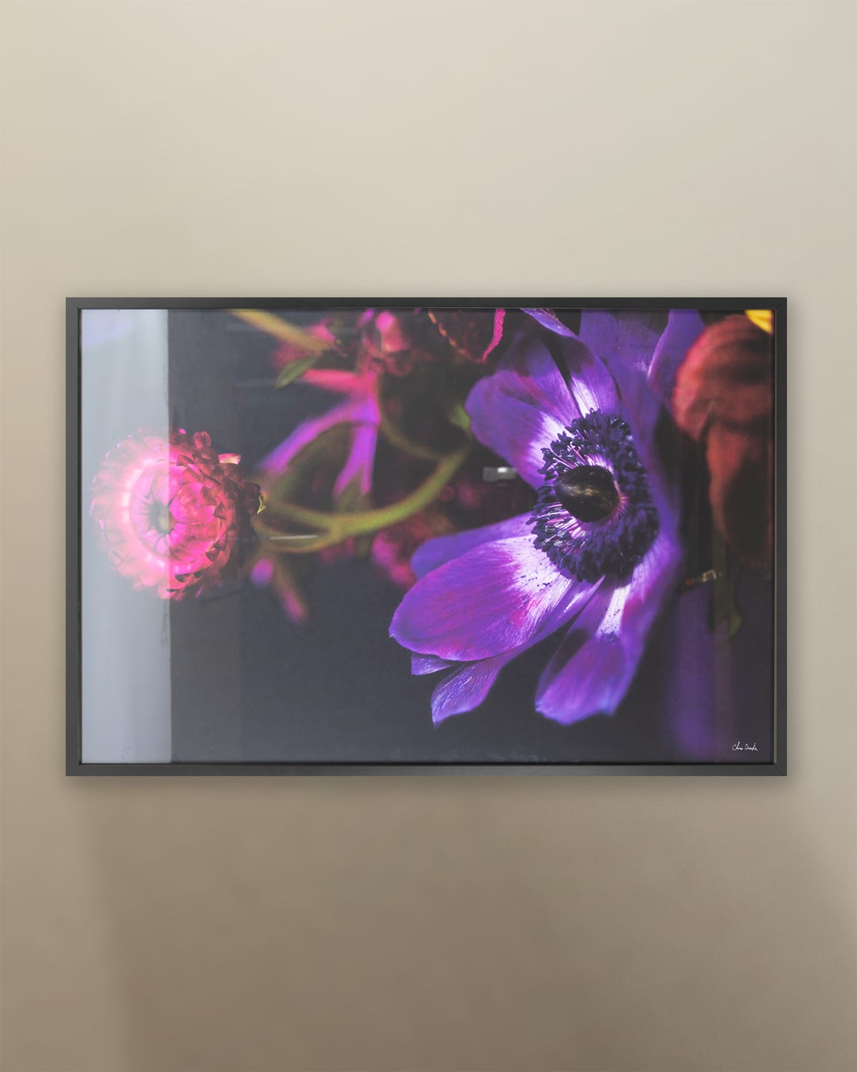 Grand Image Home "Horses in Europe" Archival Digital Print by Chris ...