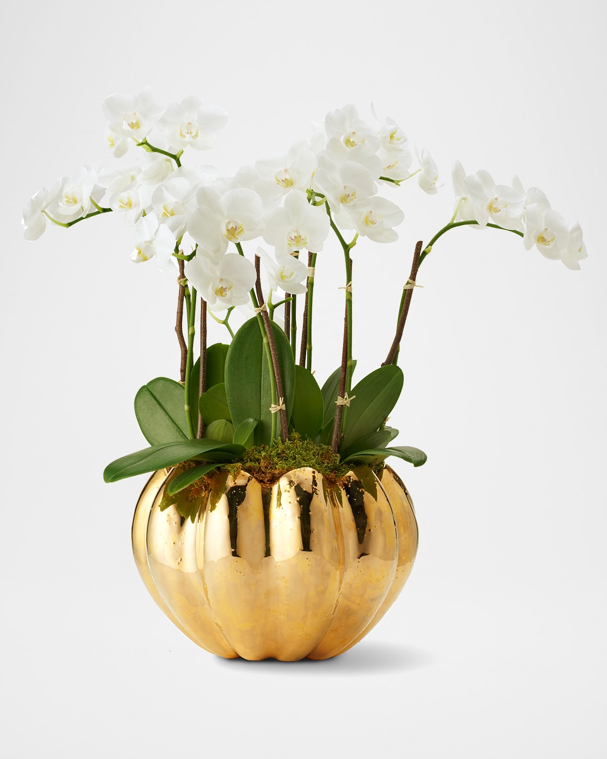Aerin Corvo Cachepot | Neiman Marcus