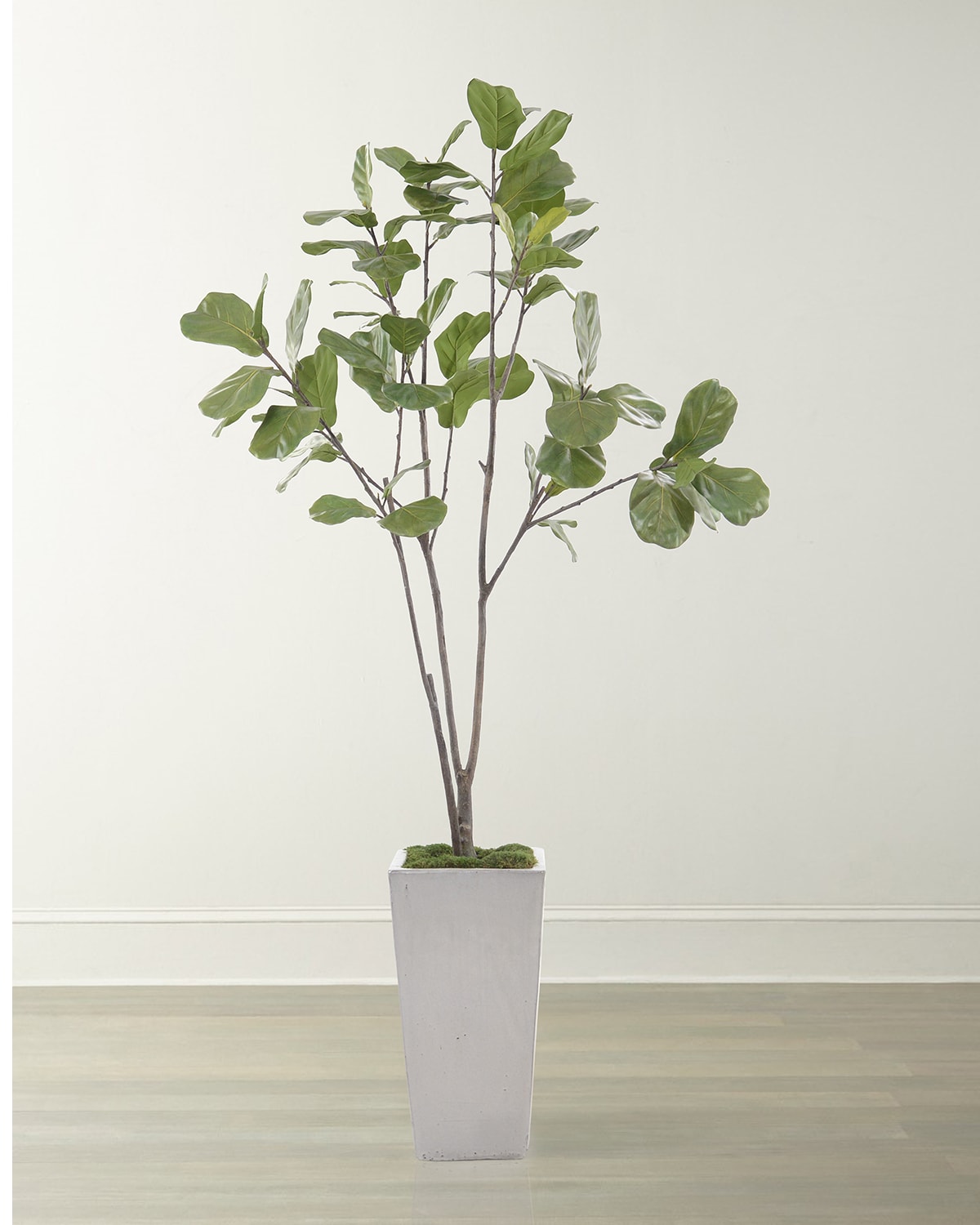 John-Richard Collection Garden Fiddle Leaf Fig Tree | Neiman Marcus
