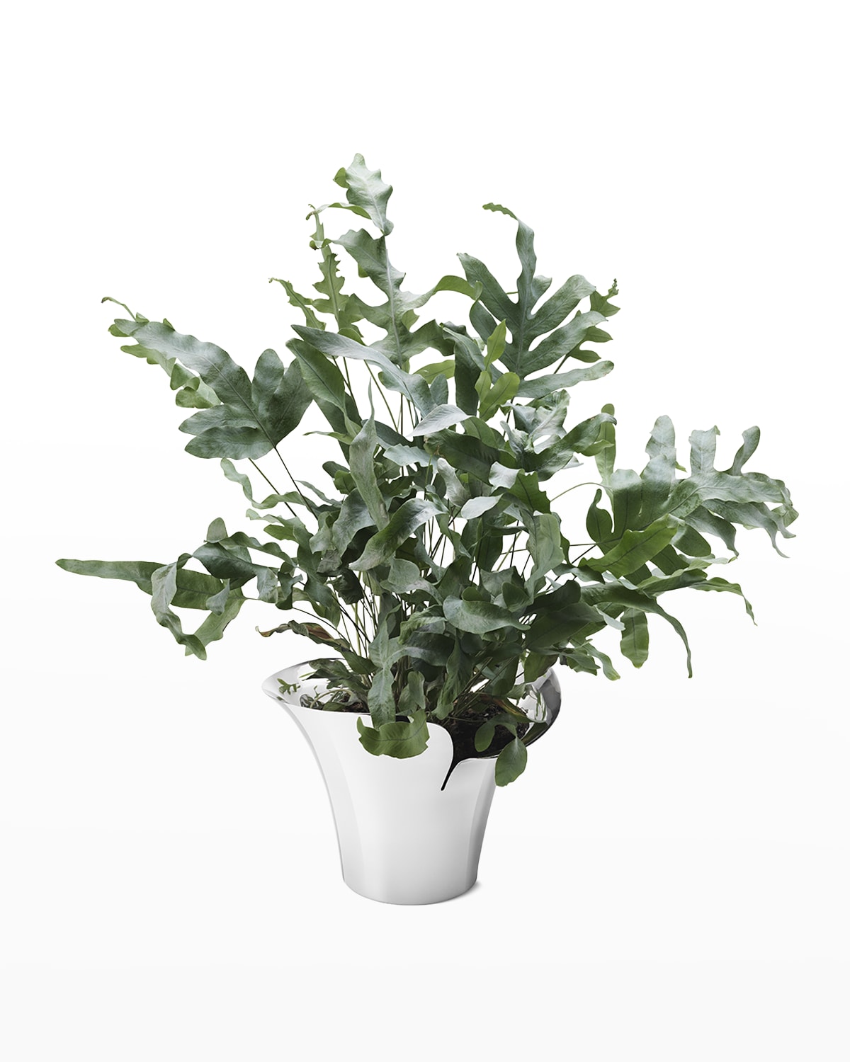 Georg Jensen Bloom Botanica Large Stainless Steel Flower Pot | Neiman ...