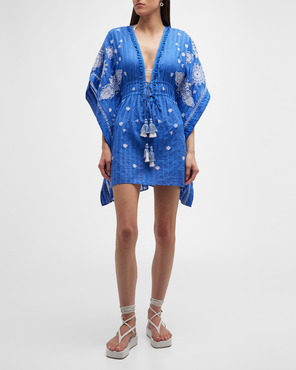 Ramy Brook Autumn Embroidered Semi-Sheer Mini Dress | Neiman Marcus