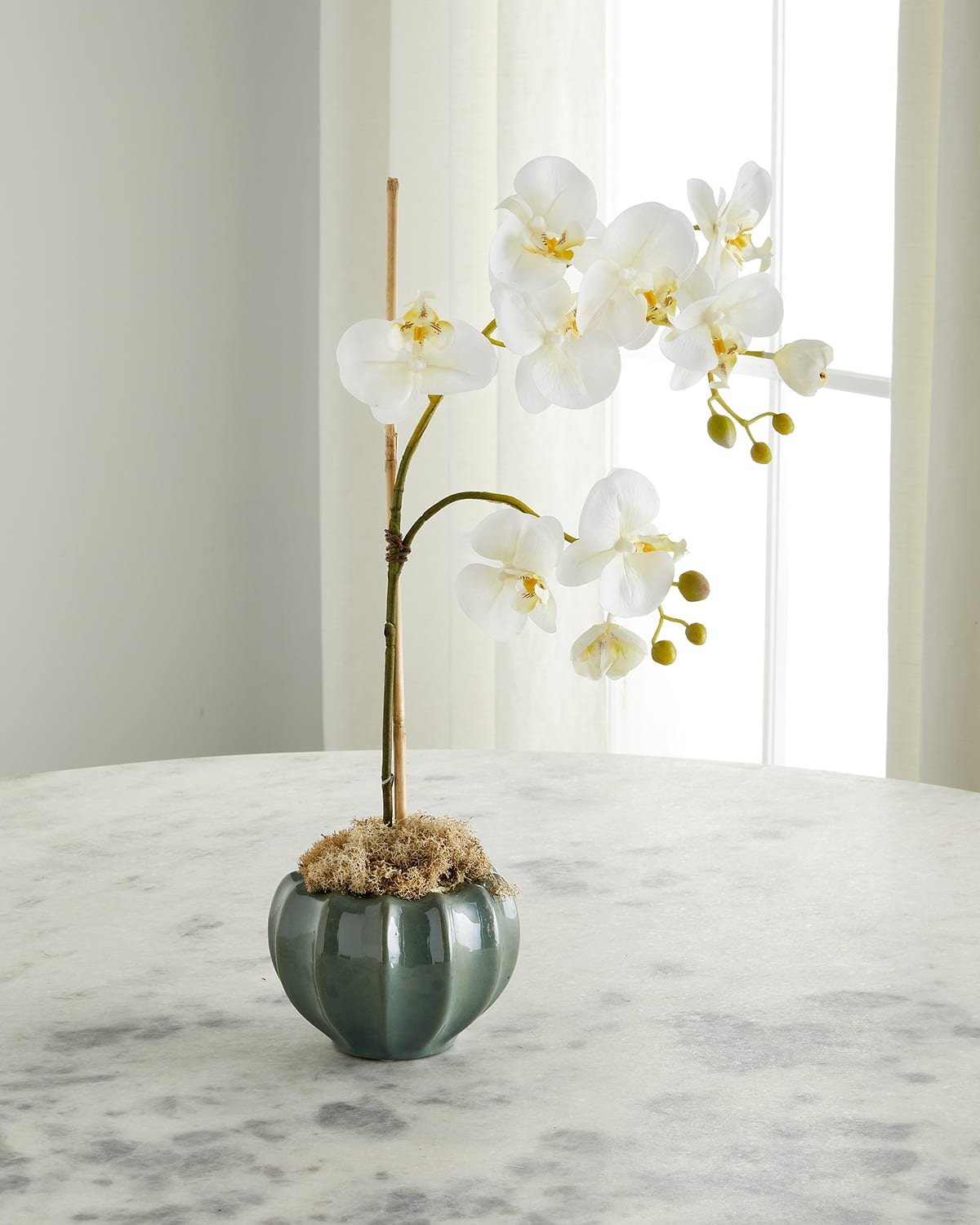 White Orchid Decor | Neiman Marcus