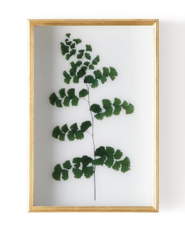 John-Richard Collection "Fern I" Shadow Box Display | Neiman Marcus