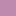 Hunt Slonem Portrait Plate with Gold Rim - Purple | Neiman Marcus