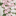 Oscar de la Renta Long-Sleeve Keyhole Back Gown with Butterfly Details ...