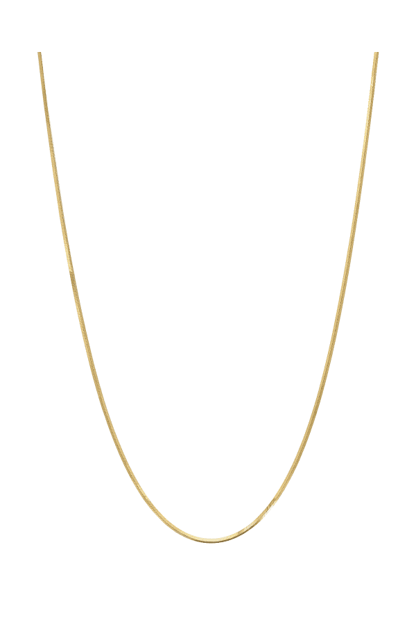 ADINAS JEWELS Thin 14k Gold Herringbone Chain Necklace | Neiman Marcus