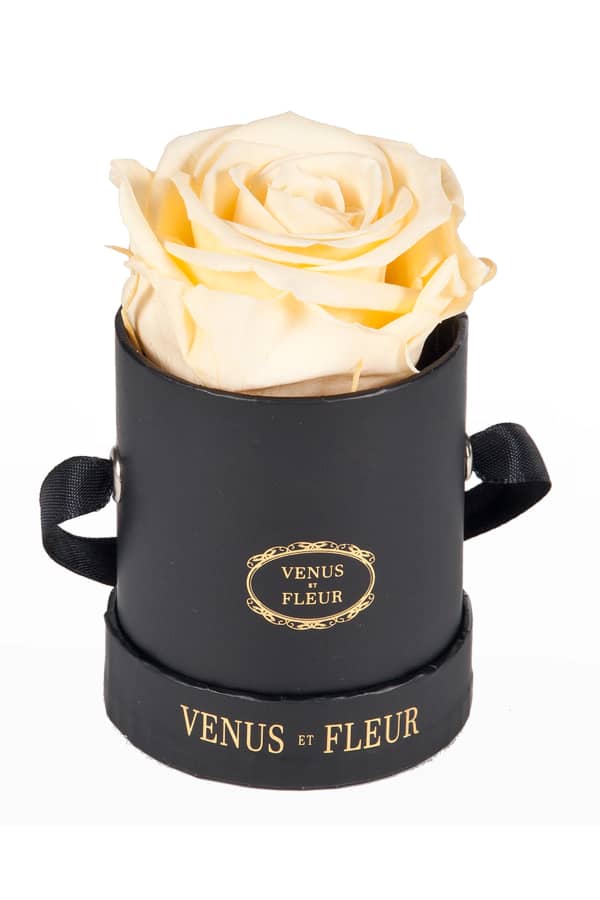Venus ET Fleur Classic Small Round Rose Box | Neiman Marcus