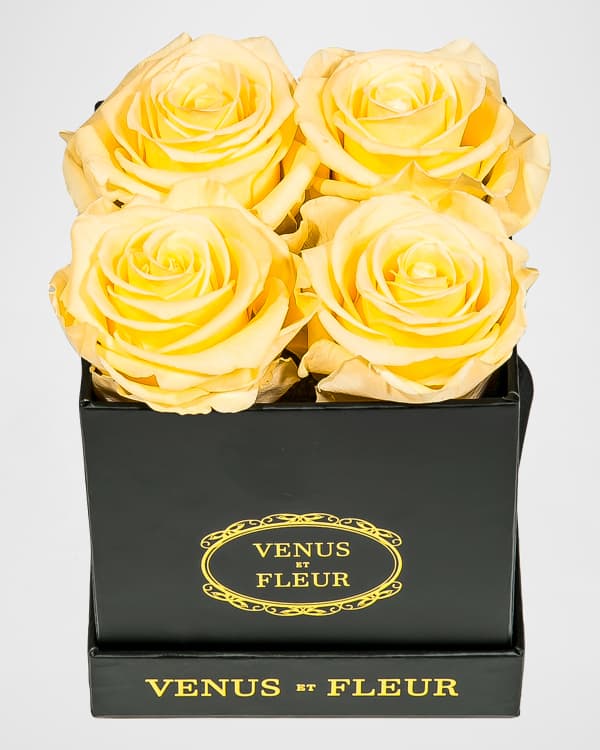 Venus ET Fleur Classic Petite Square Rose Box | Neiman Marcus