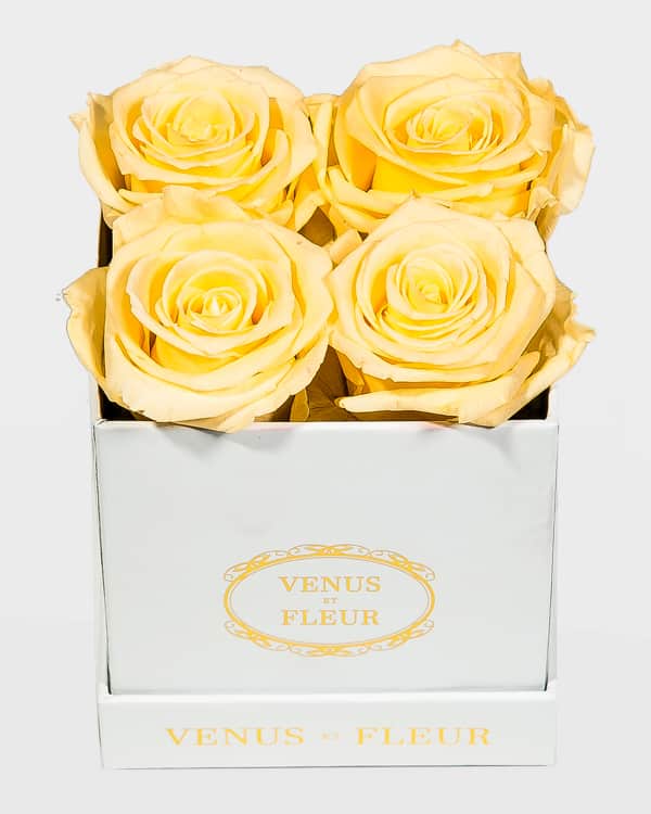 Venus ET Fleur Classic Petite Square Rose Box | Neiman Marcus