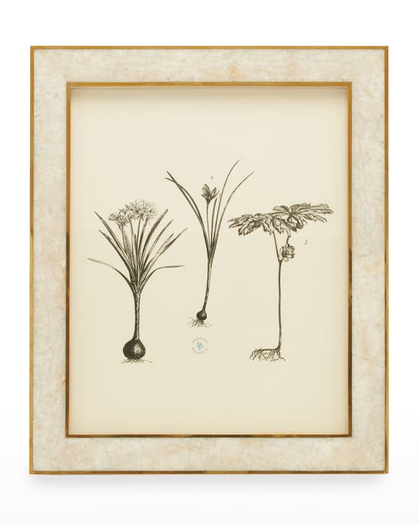 Pigeon and Poodle Malindi Frame, 8x10 | Neiman Marcus