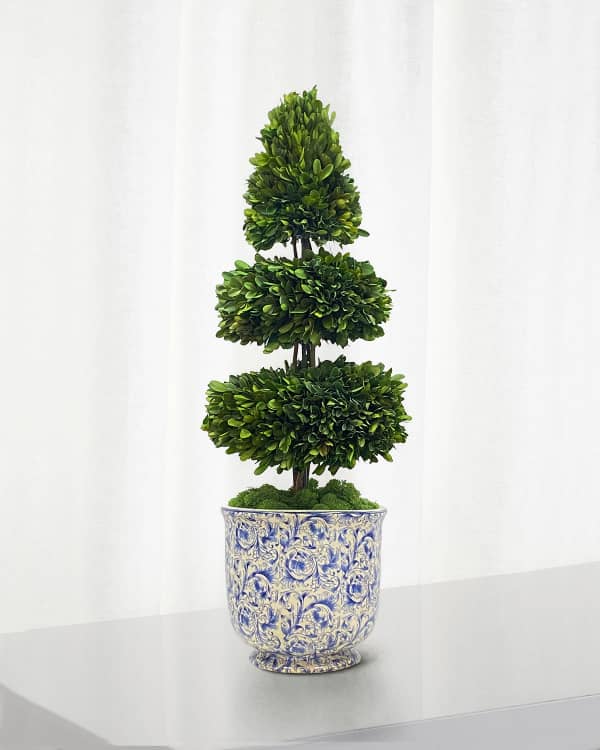 Winward Home Preserved Coneball Boxwood Topiary In Porcelain Vase - 24 ...