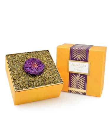 Agraria Home Fragrances at Neiman Marcus