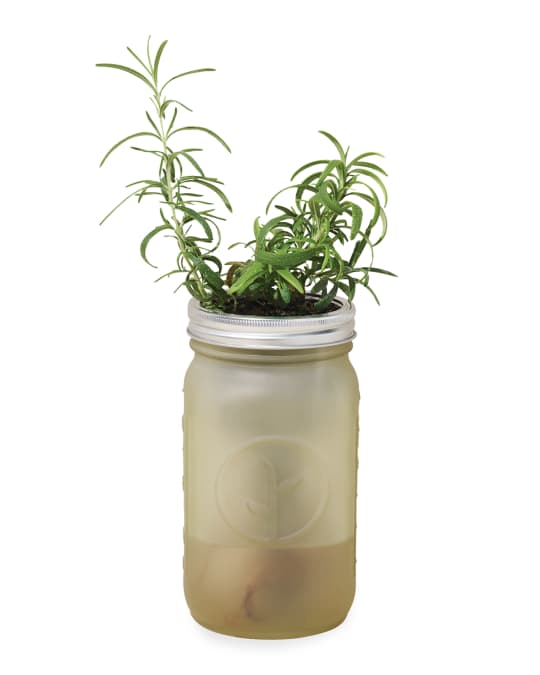 Modern Sprout Rosemary Hydroponic Grow Kit in Jar | Neiman Marcus