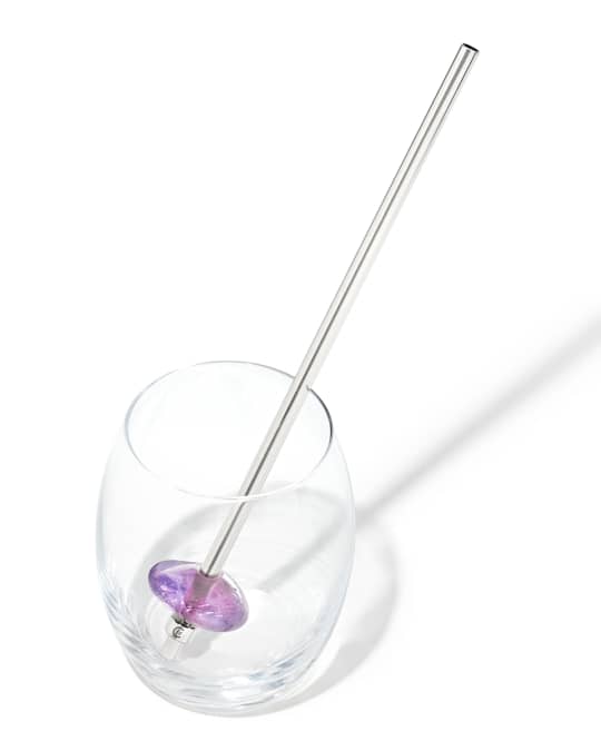 Crystals for Humanity by Gem-Water Stainless Steel Straw with Amethyst ...