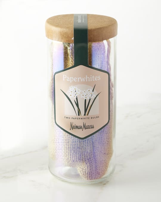 Modern Sprout Paperwhite Bulb Growing Kit | Neiman Marcus