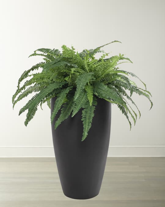 NDI Faux Fern in Black Tapered Planter | Neiman Marcus