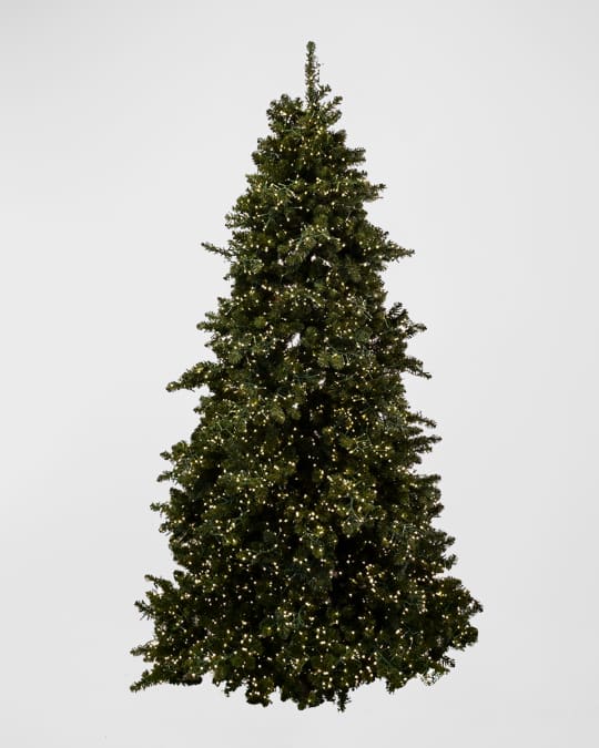 Barcana Royal Majestic Pine Pre-Lit Christmas Tree w/ Cluster Warm ...
