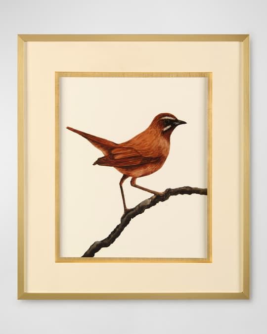 John-Richard Collection "Bird on a Branch III" Print | Neiman Marcus