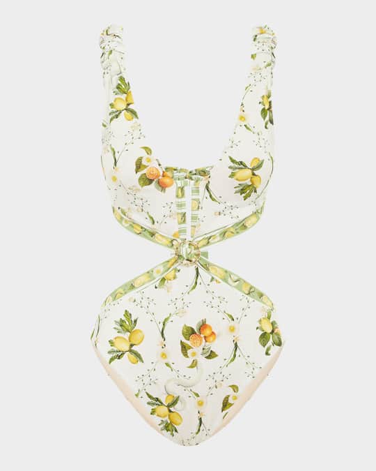 Aqua Blu Australia Kendall Cutout One-Piece Swimsuit | Neiman Marcus