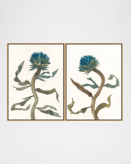 "Prickly Bloom" Set of 2 Framed Giclees by David Erickson, 25.25" x 34. ...