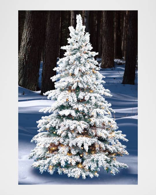 Barcana 8' Flocked Silvertip Pre-Lit Christmas Tree | Neiman Marcus