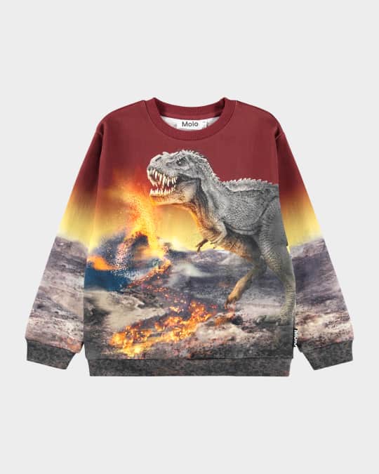 Molo Boy's Miksi Sweatshirt, Size 2-7 | Neiman Marcus