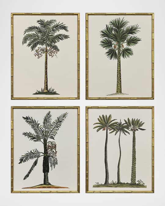 Paragon Decors "Contemporary Palm II" Framed Giclees, Set of 4 | Neiman ...