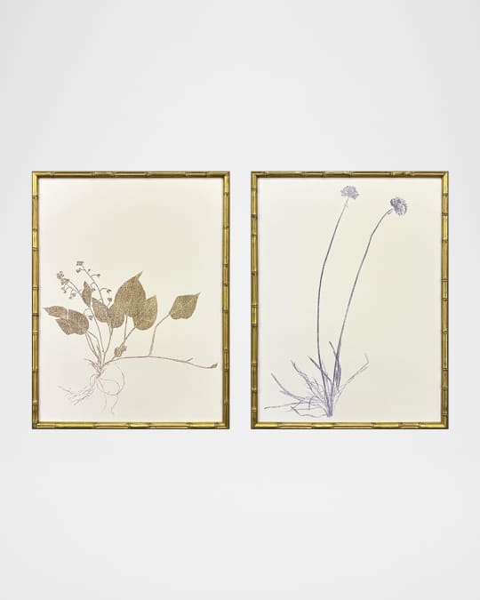 Paragon Decors "Floral Trace II" Framed Giclees, Set of 2 | Neiman Marcus