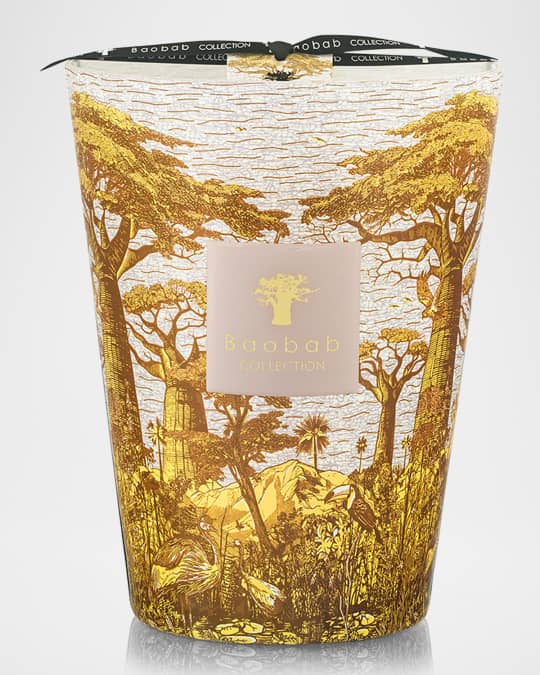 Baobab Collection Sacred Trees Bounkani 5-Wick Max 24 Candle, 5.2 kg ...