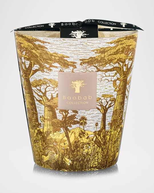 Baobab Collection Sacred Trees Bounkani 4-Wick Max 16 Candle, 2.3 kg ...