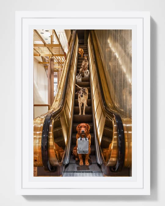 Gray Malin "Escalator Ride, Neiman Marcus, Downtown Dallas" Framed Fine ...