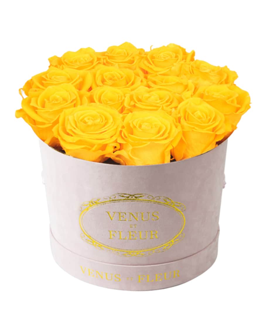 Venus ET Fleur Suede Small Round Rose Box | Neiman Marcus