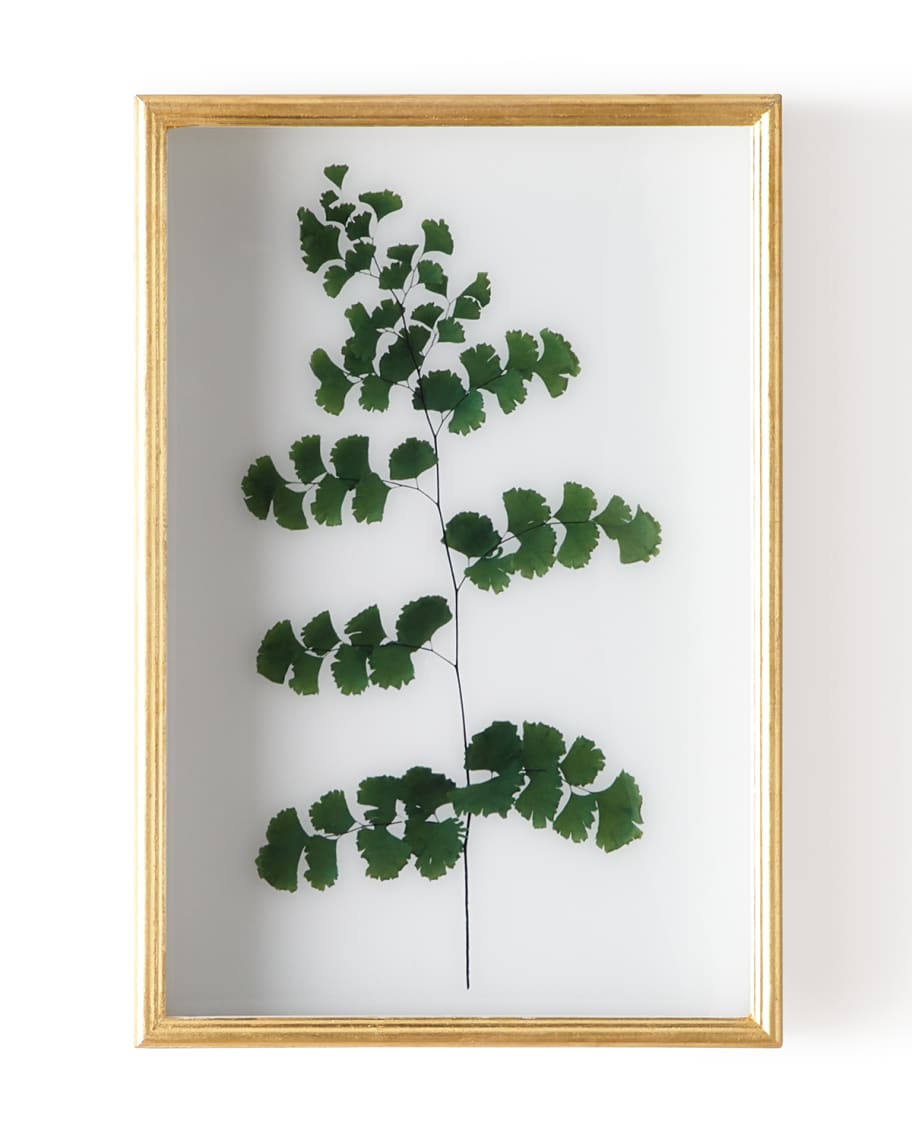 John-Richard Collection "Fern III" Shadow Box Display | Neiman Marcus