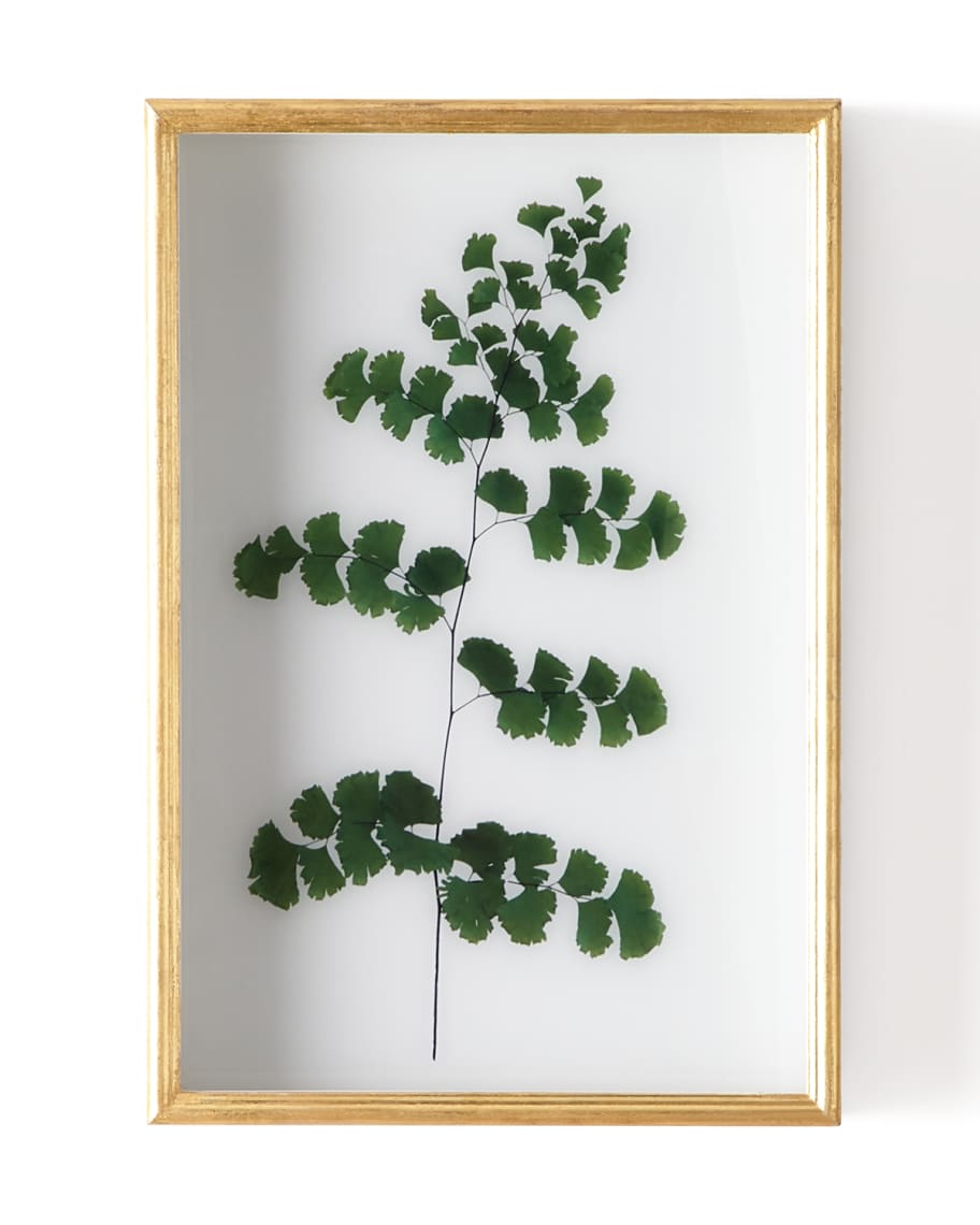 John-Richard Collection "Fern I" Shadow Box Display | Neiman Marcus
