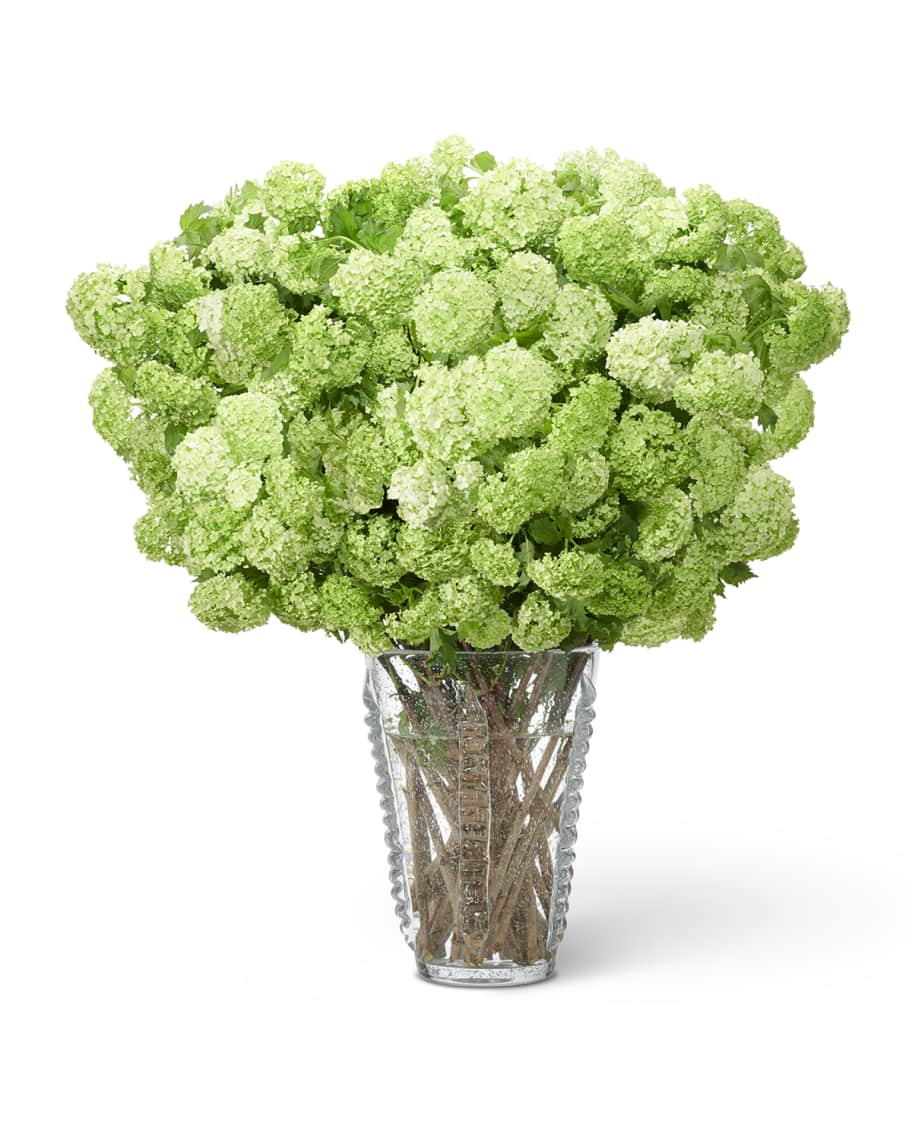 AERIN Lattea Large Vase | Neiman Marcus