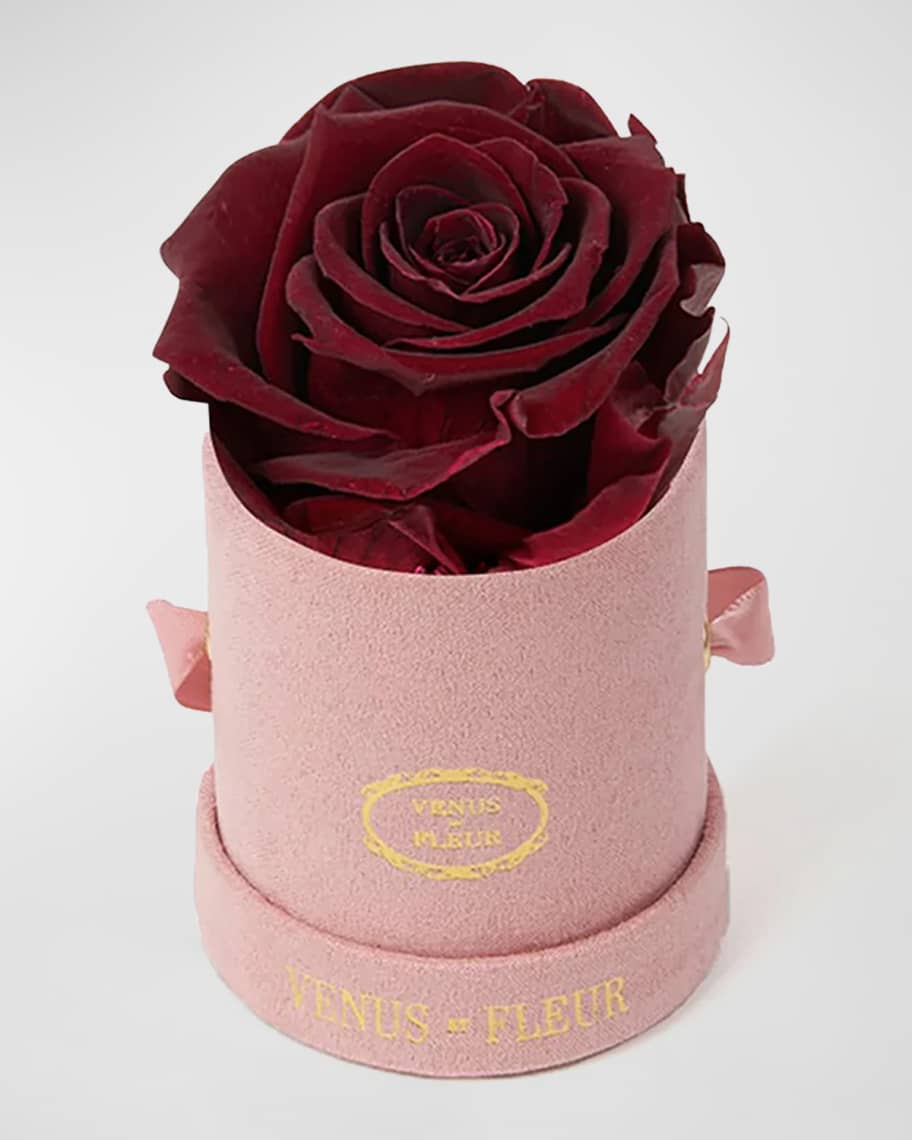 Venus ET Fleur Suede Mini Round Rose Box | Neiman Marcus