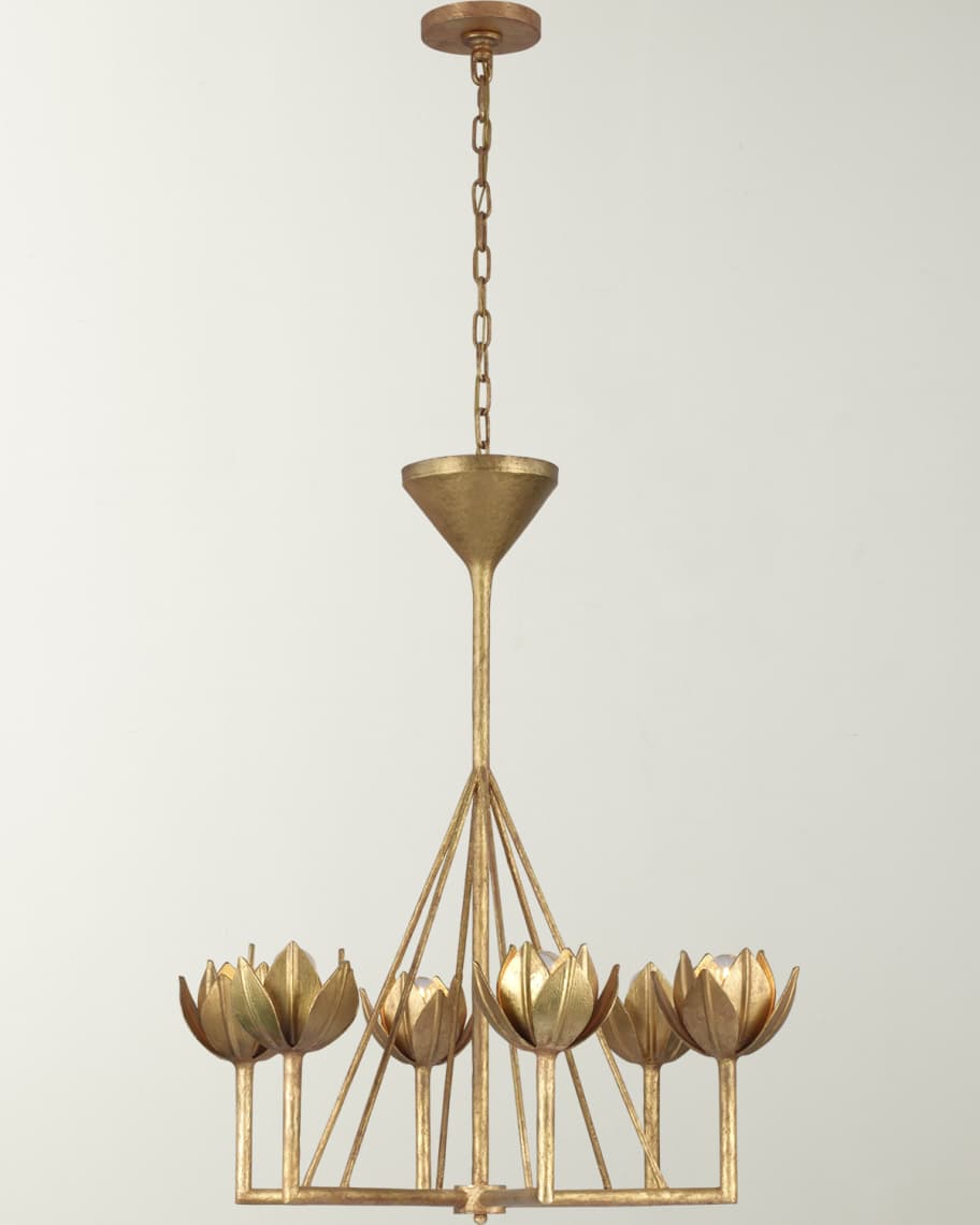 Visual Comfort Signature Alberto Small Single Tier Chandelier By Julie ...