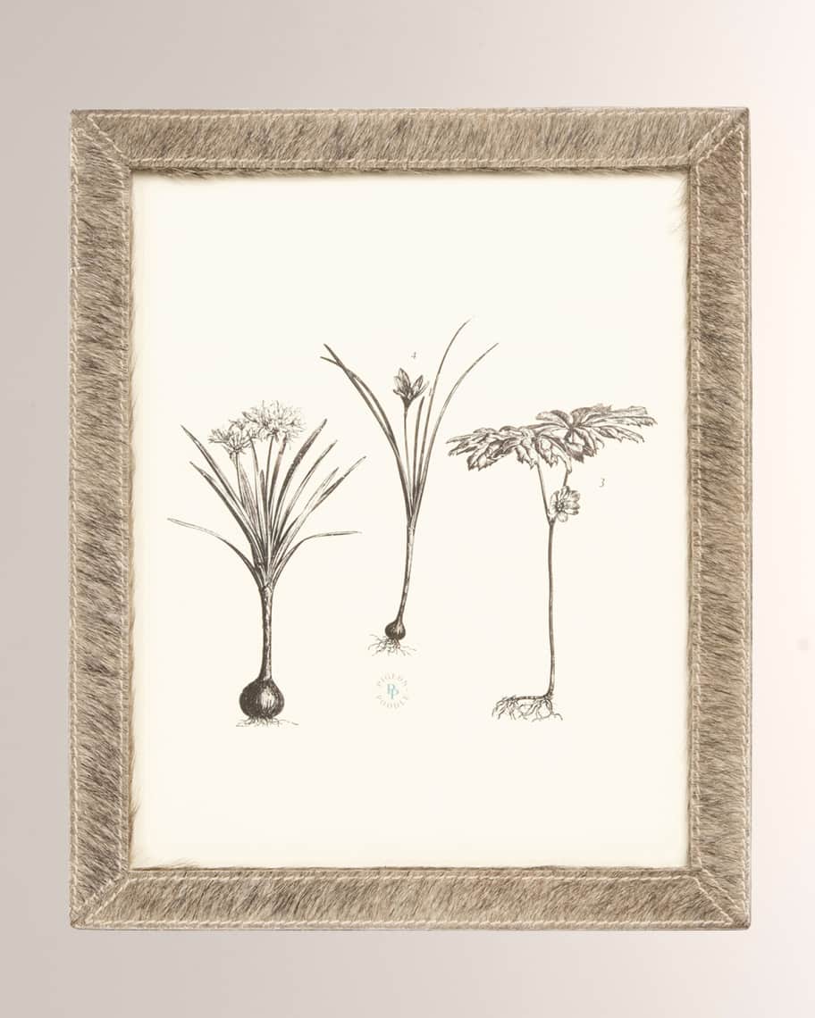 Pigeon and Poodle Verwood Frame, 8x10 | Neiman Marcus
