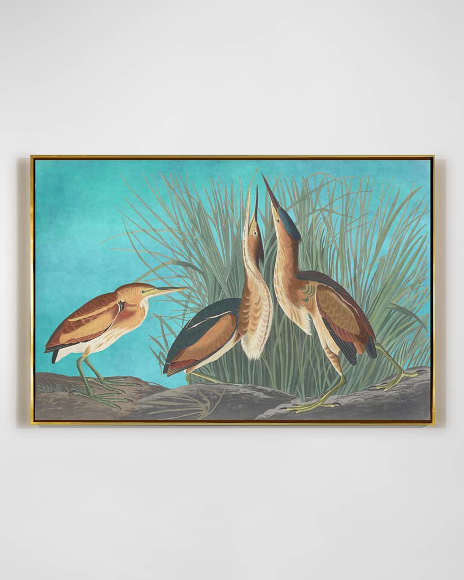 RFA Fine Art "Least Bittern" Wall Art | Neiman Marcus