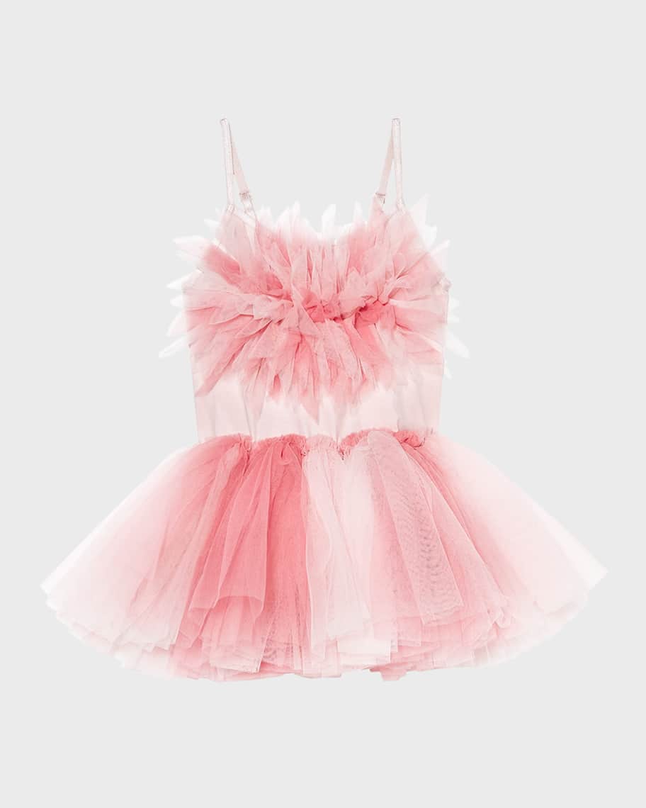 Tutu Du Monde Girl's Bebe Passion Ombre Tulle Dress, Size 6M-24M ...