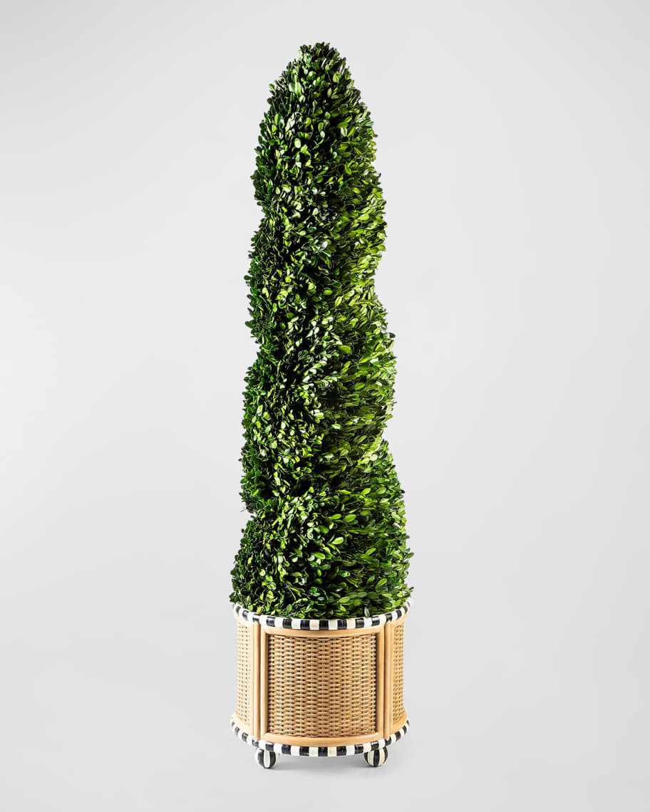 MacKenzie-Childs Large Preserved Spiral Boxwood Topiary in Basketweave ...