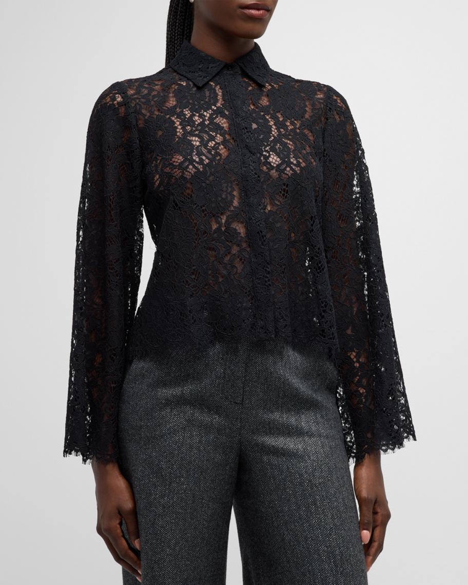 Surprising Long Sleeve Lace Blouse Gallerynull