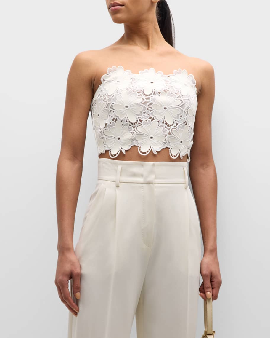 Ramy Brook Kayla Strapless Embroidered Lace Crop Top | Neiman Marcus