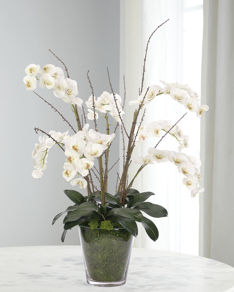 NDI White Phalaenopsis Orchids 44" Faux Floral Arrangement in a Moss ...