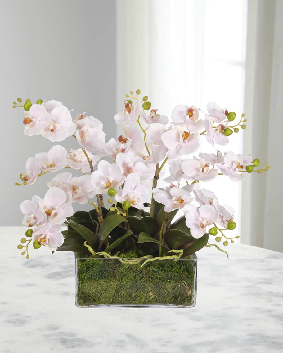 NDI Pink Phalaenopsis Orchids 20" Faux Floral Arrangement in a Moss Glass Square | Neiman Marcus