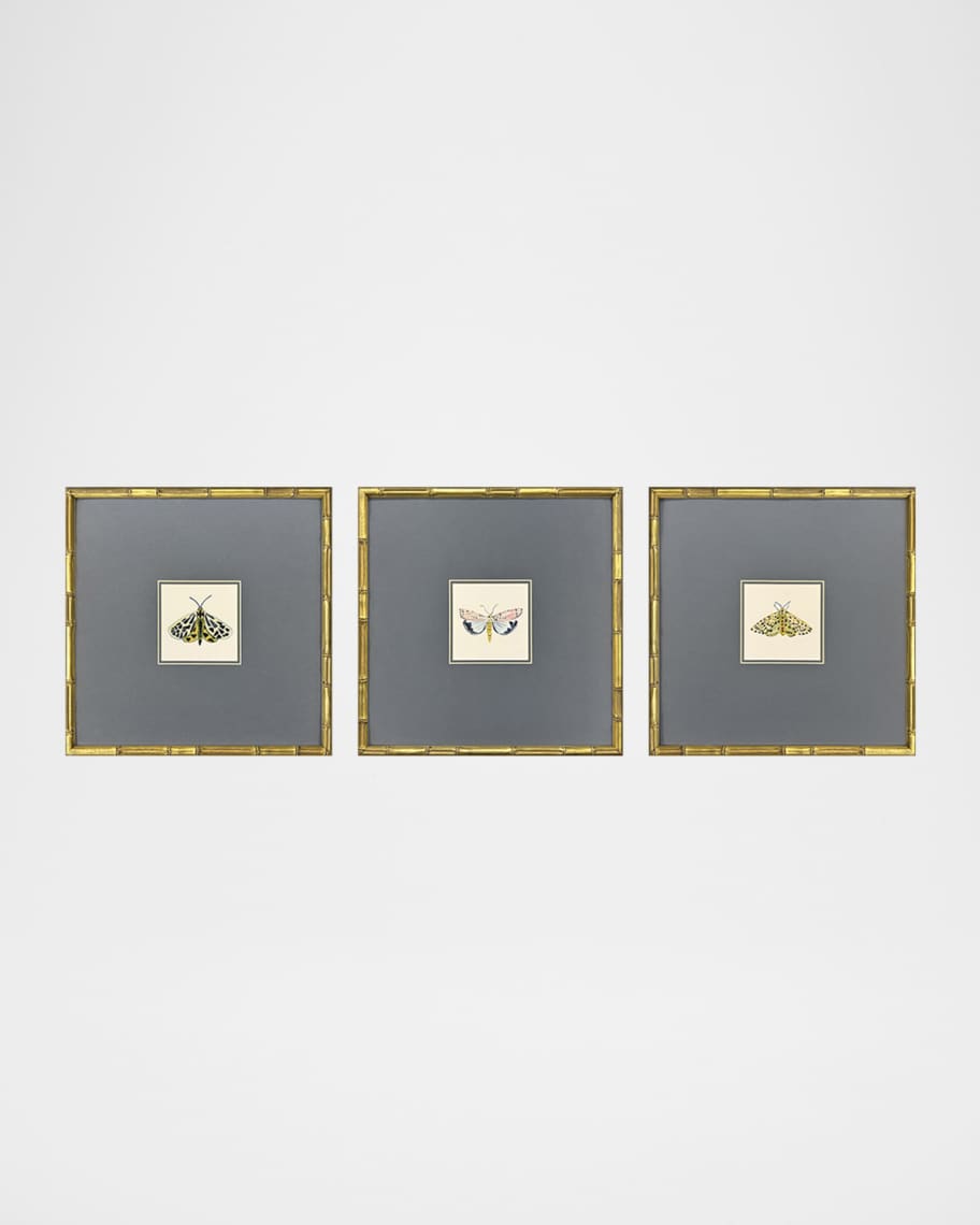 Paragon Decors "Pastel Moths I" Framed Giclees by Farida Zaman, Set of ...